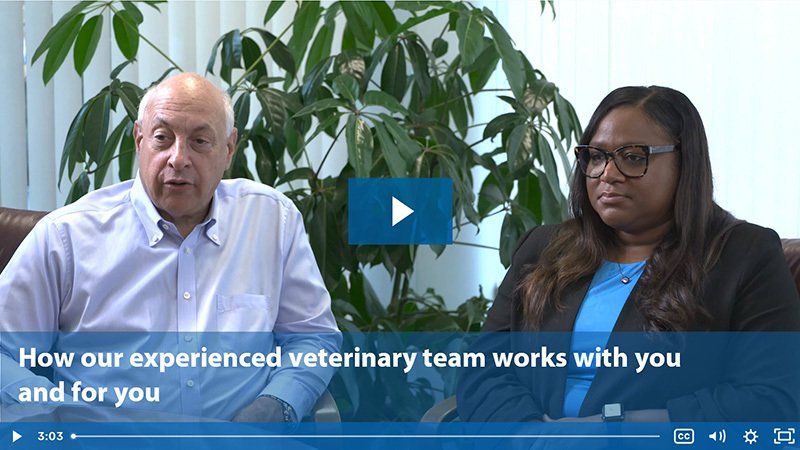 How our experienced vet team works with you and for your practice