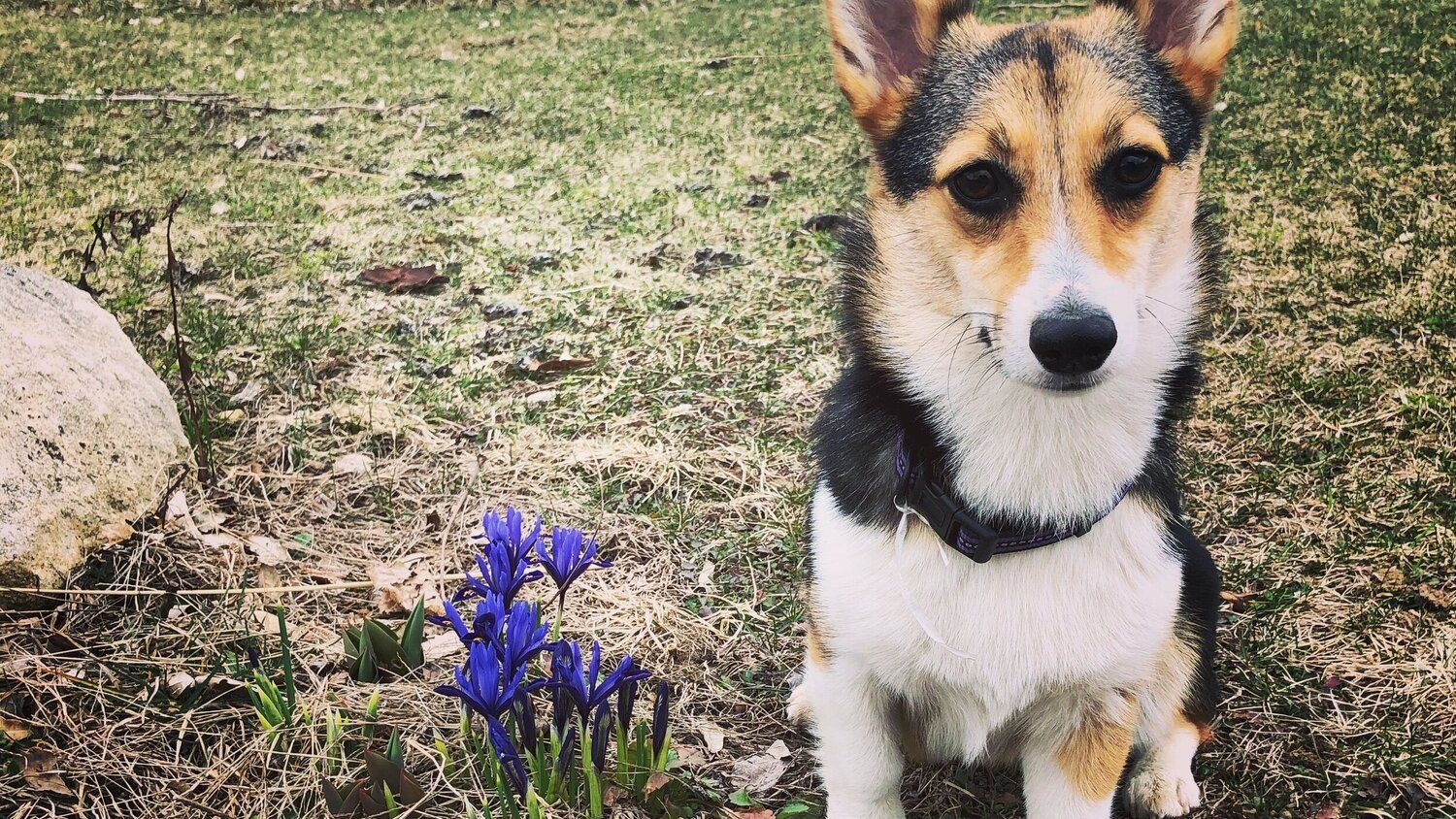 Why Spring Break Is Still Important