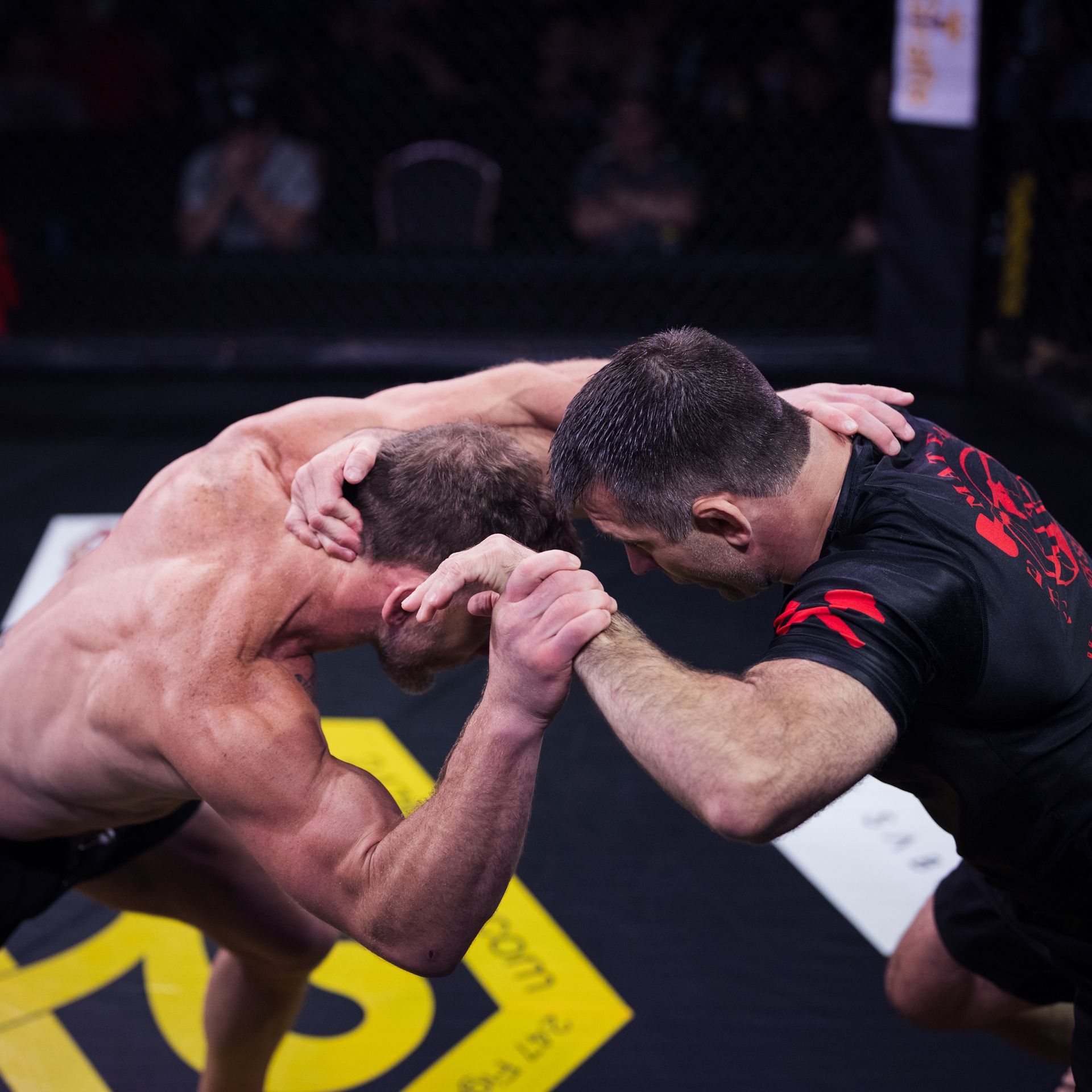 Combat Sports Venue - Sunny Days Arena