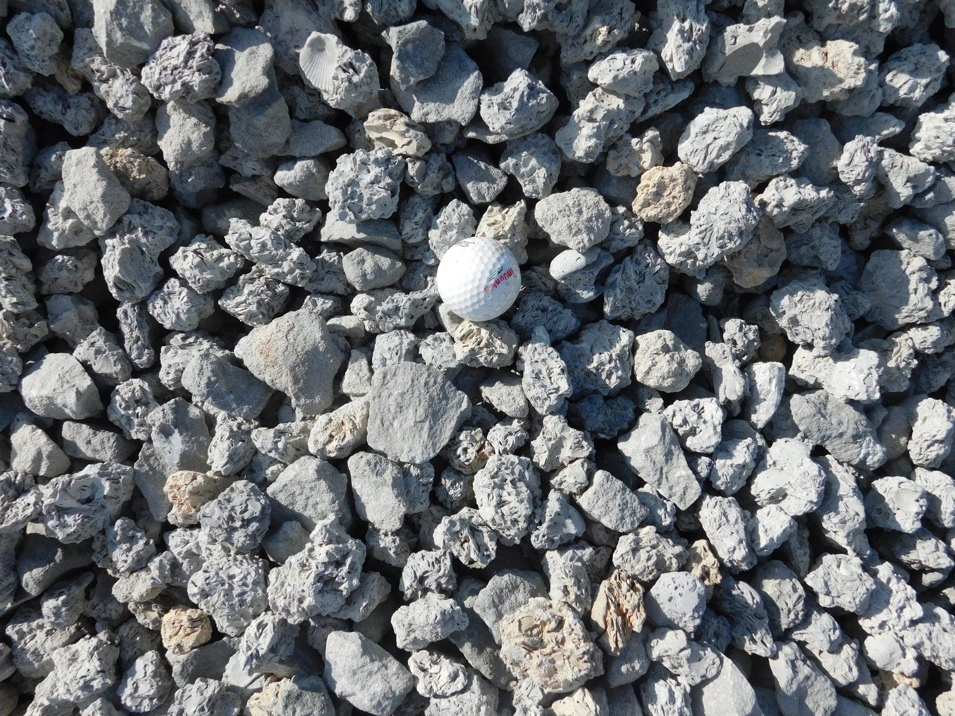 Ebron's Small Engine Repair | Services | New Bern, NC