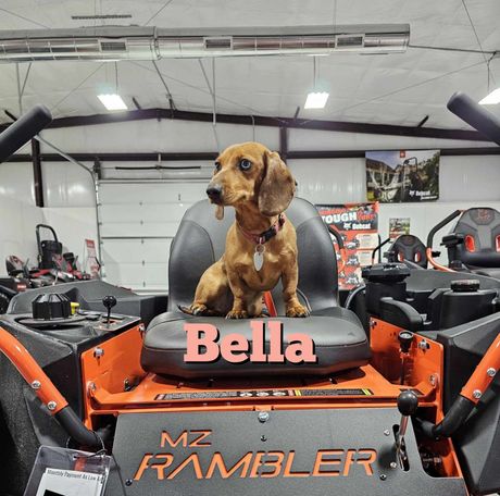 Ebron's Small Engine Repair | Lawn Care Equipment | New Bern, NC