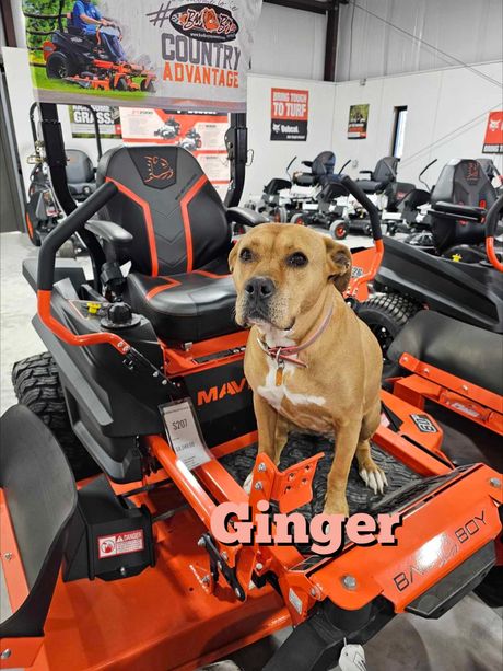 Ebron's Small Engine Repair | Lawn Care Equipment | New Bern, NC