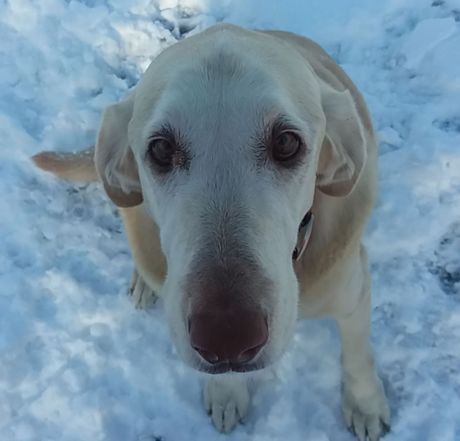 Ebron's Small Engine Repair | Lawn Care Equipment | New Bern, NC