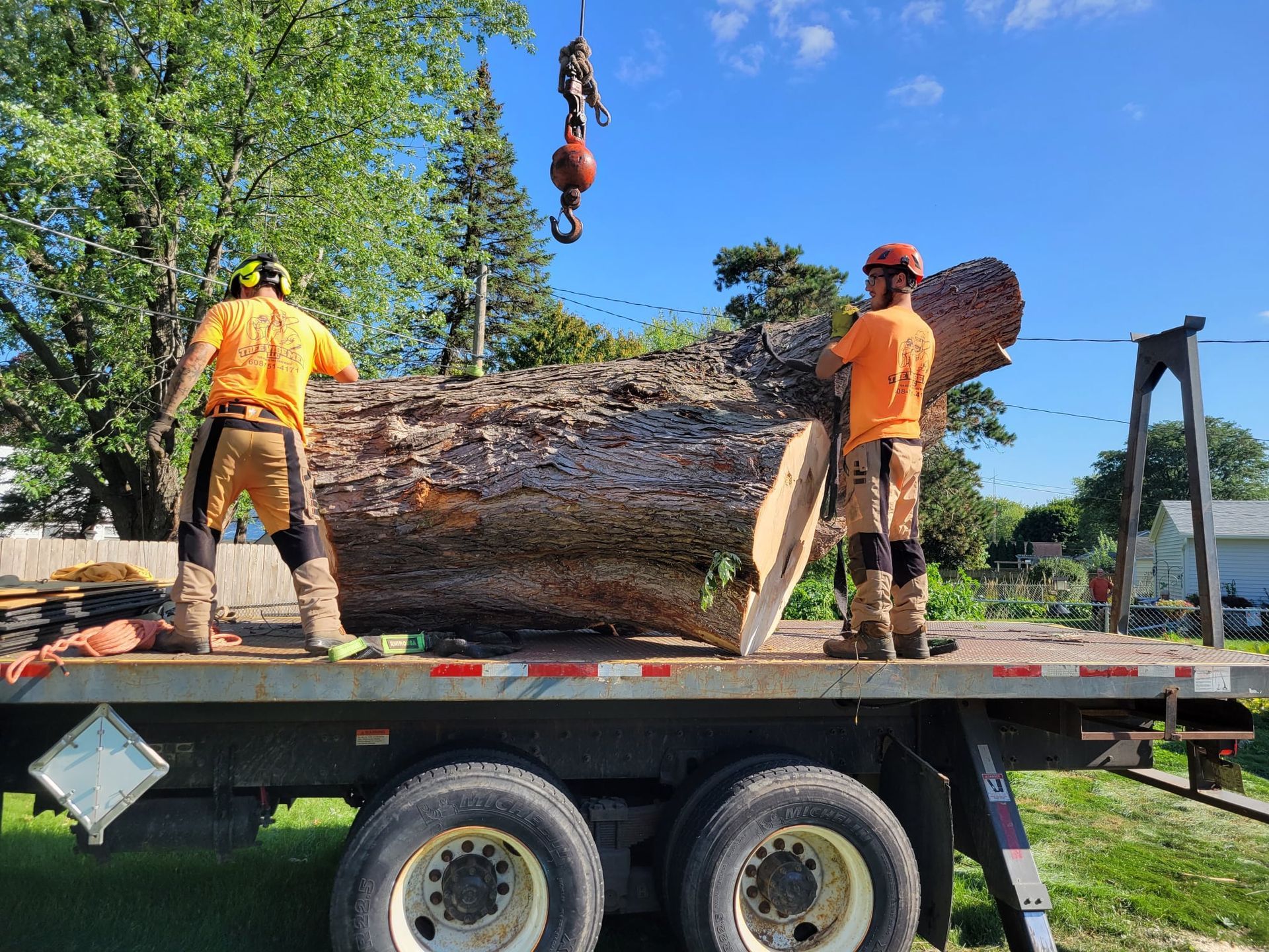 ISA Certified Arborists | Wisconsin
