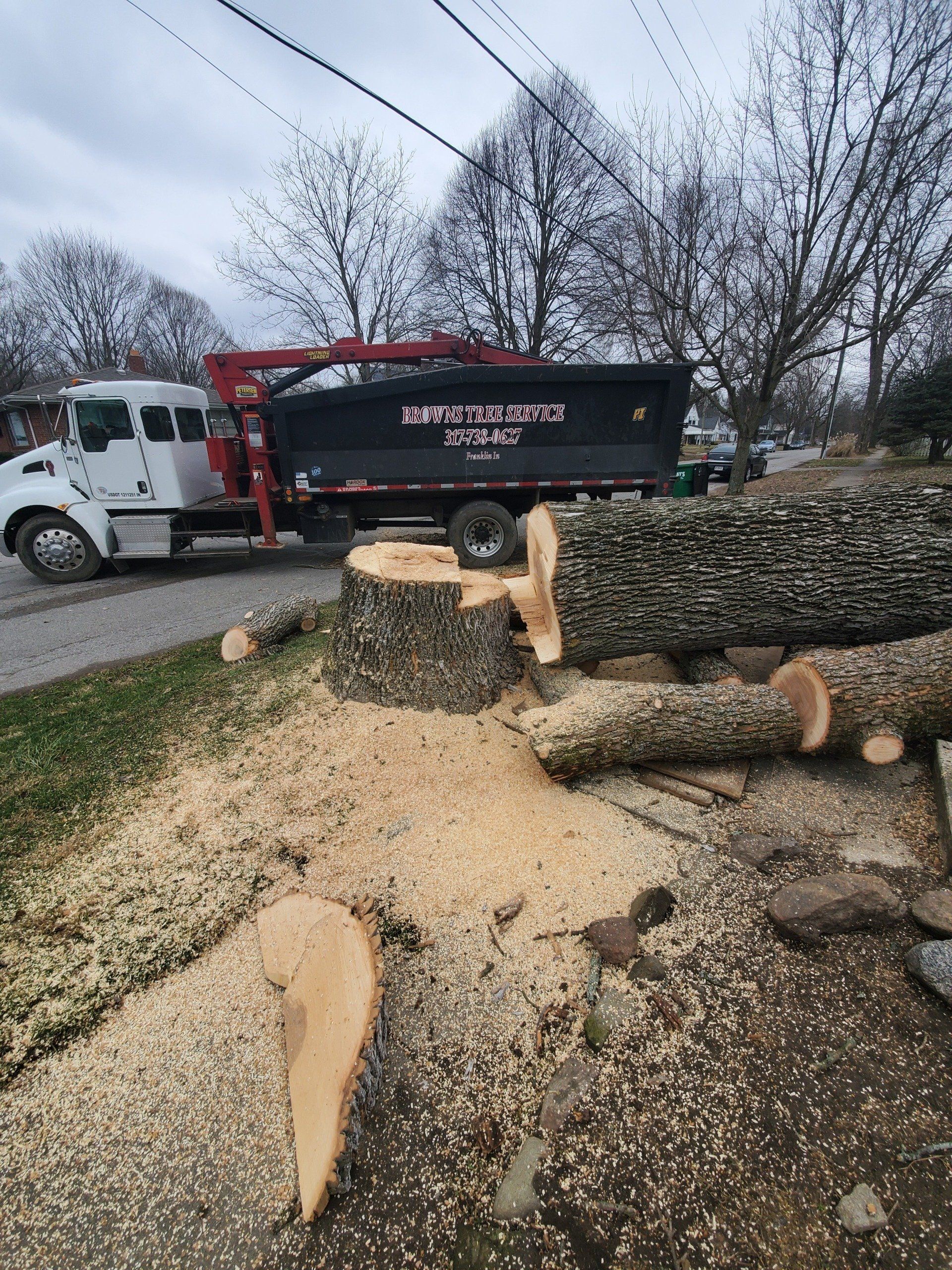 Brown's Tree Service, LLC| Stump Removal for Greenwood, IN