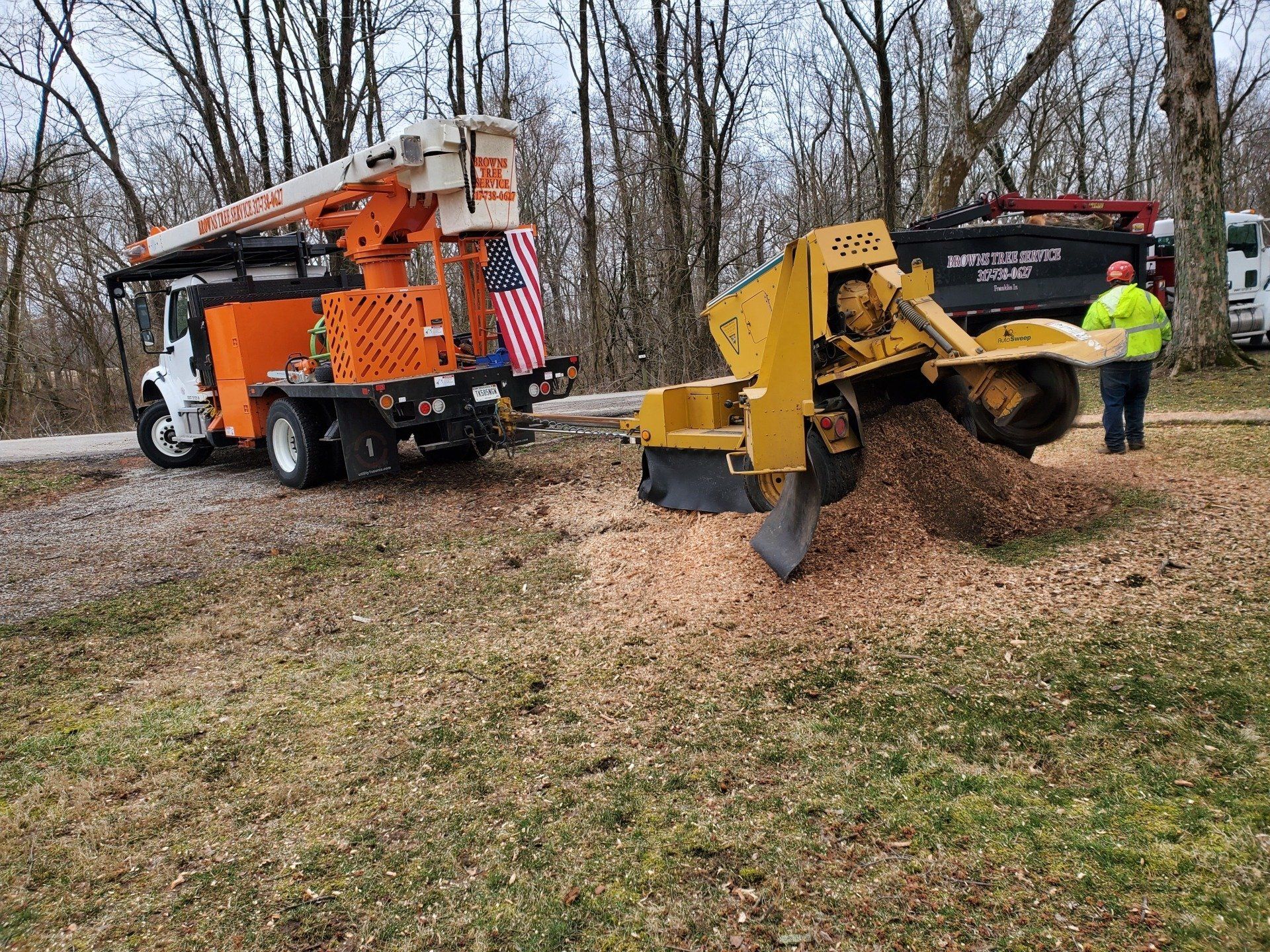 Brown's Tree Service, LLC| Stump Removal for Greenwood, IN