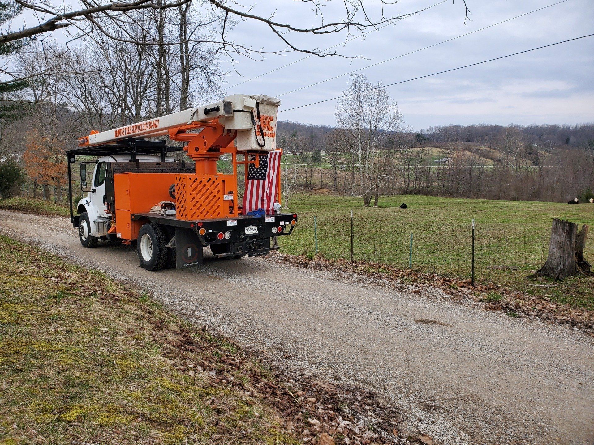 Brown's Tree Service, LLC| Stump Removal for Greenwood, IN