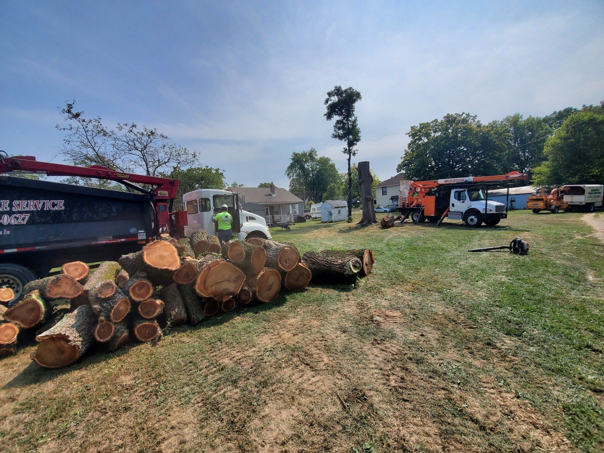 Brown's Tree Service, LLC| Stump Removal for Greenwood, IN