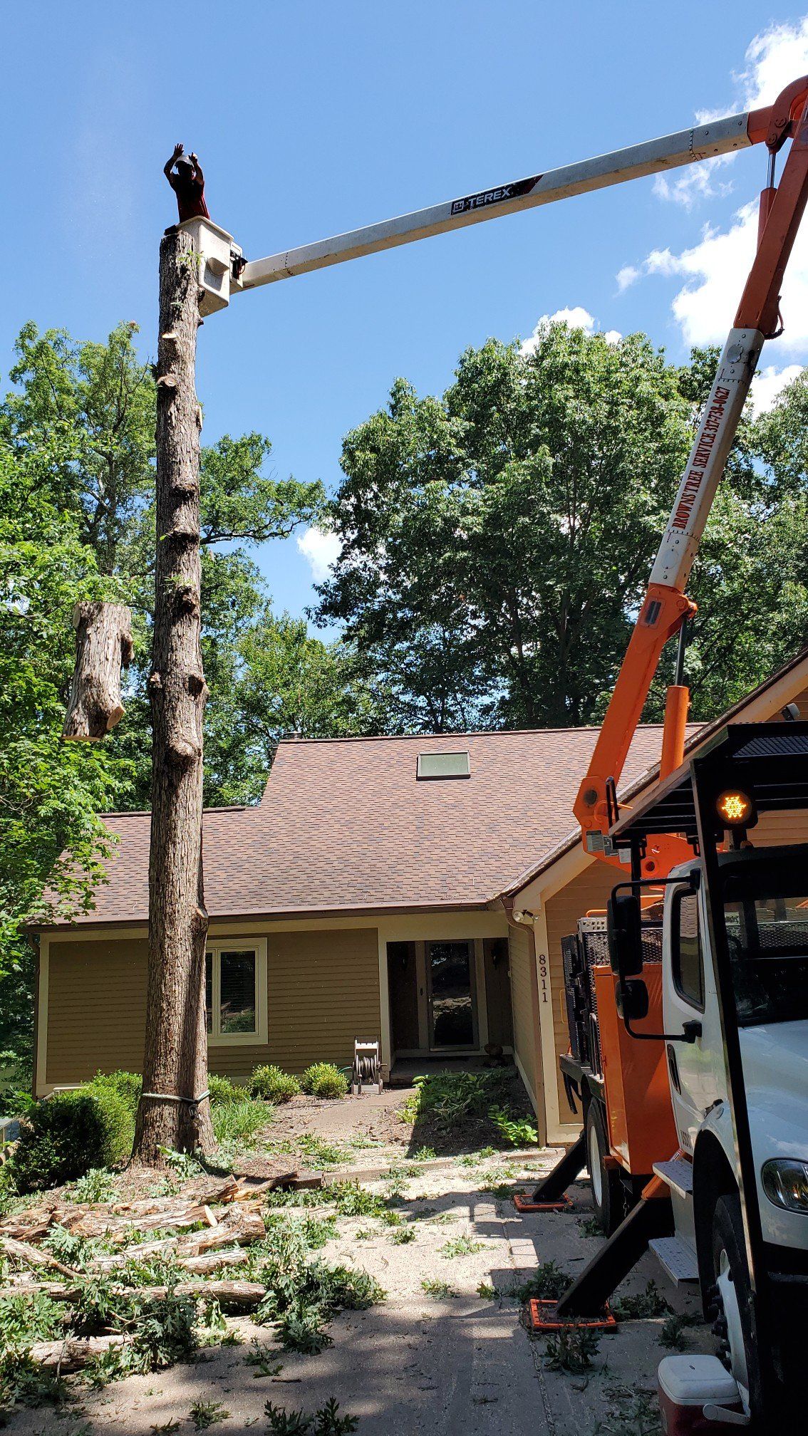 Brown's Tree Service, LLC| Stump Removal for Greenwood, IN