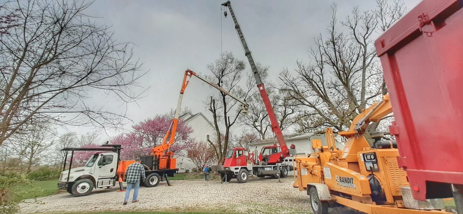 Brown's Tree Service, LLC| Stump Removal for Greenwood, IN