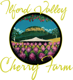 Contact | Cherry Farm