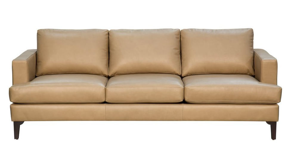 Living Room Sofas, Sleeper Sofas & Reclining Sofas in Berkeley, CA ...