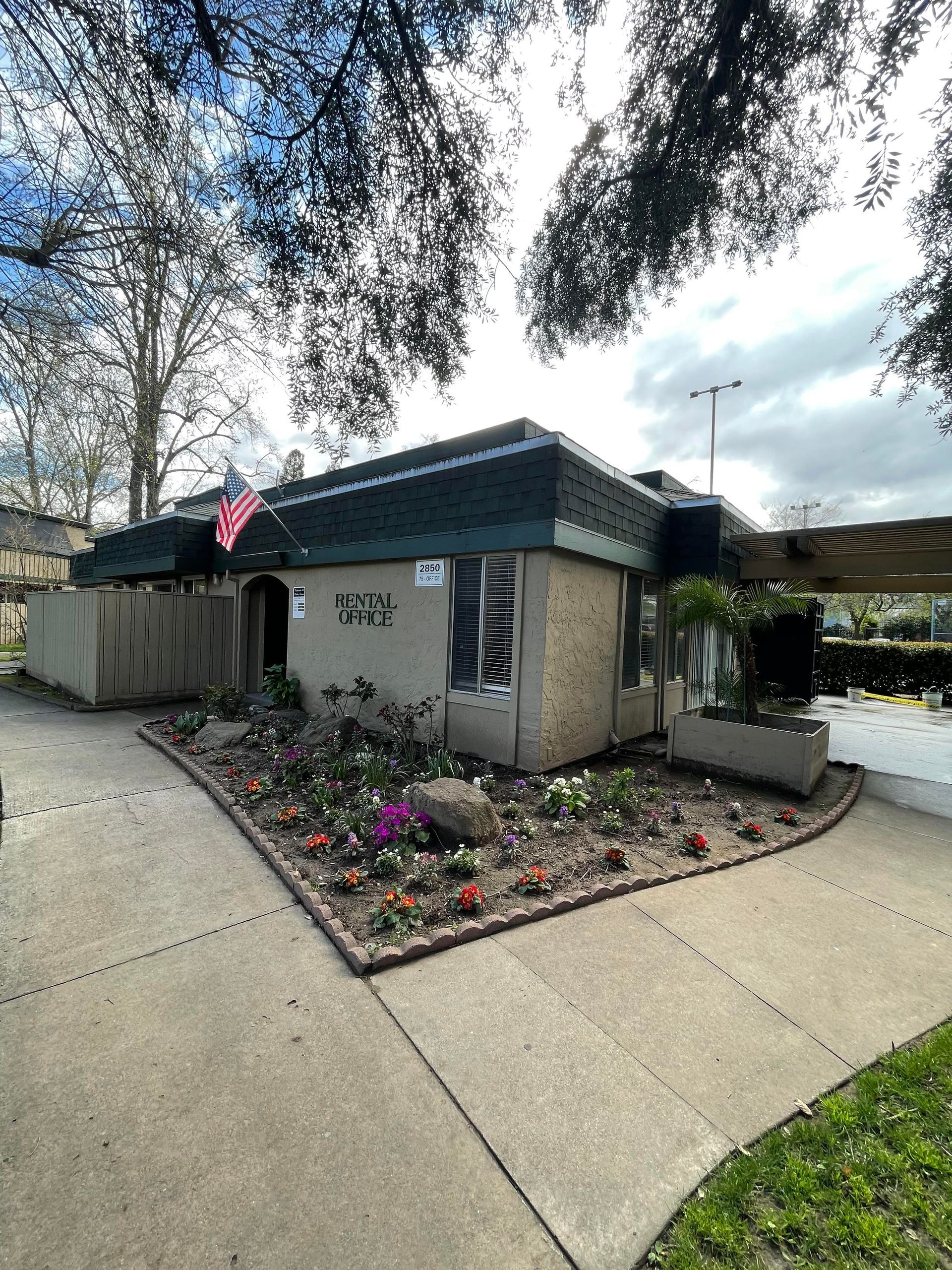 Redwoods at Mather Station