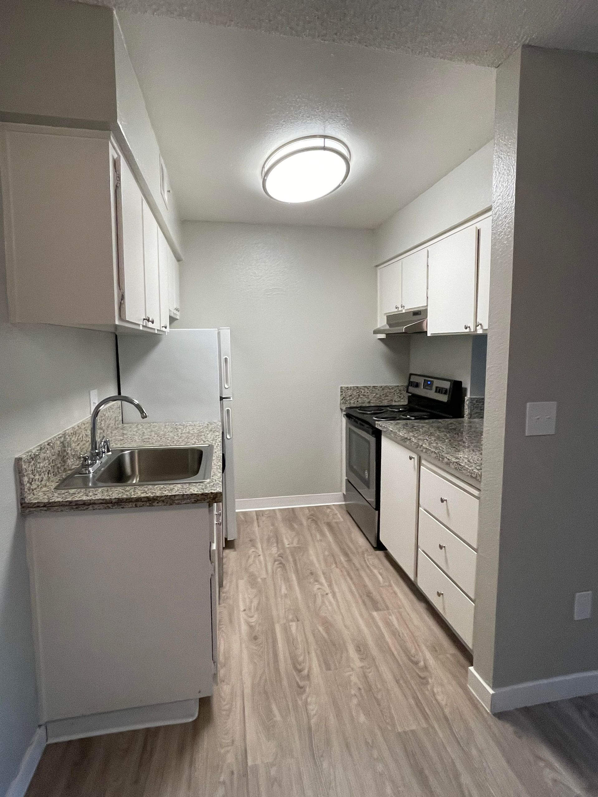 Redwoods at Mather Station