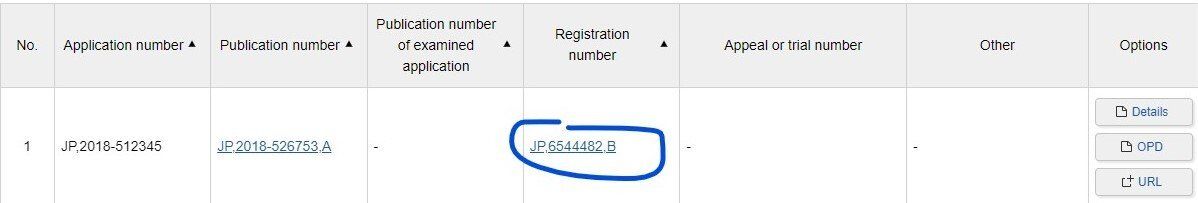 The Japanese Patent Application Numbering System