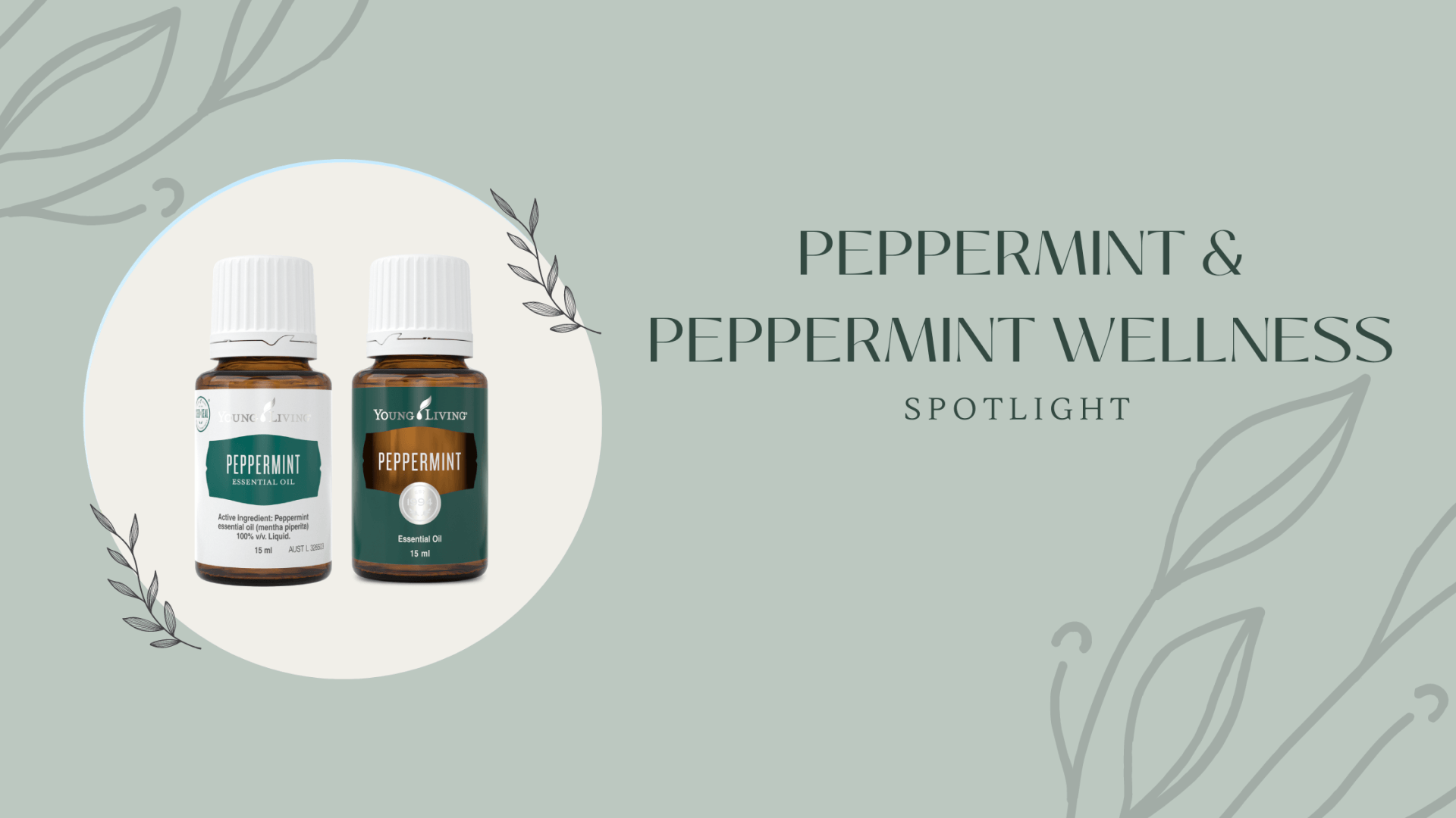 Peppermint Spotlight