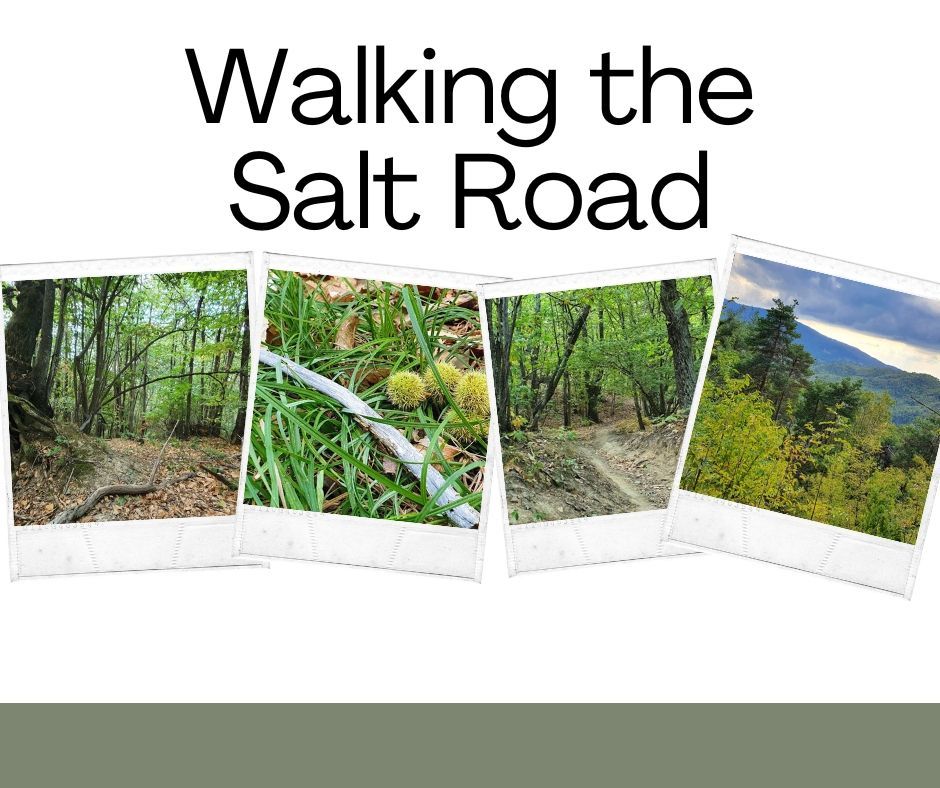 Walking the Salt Road