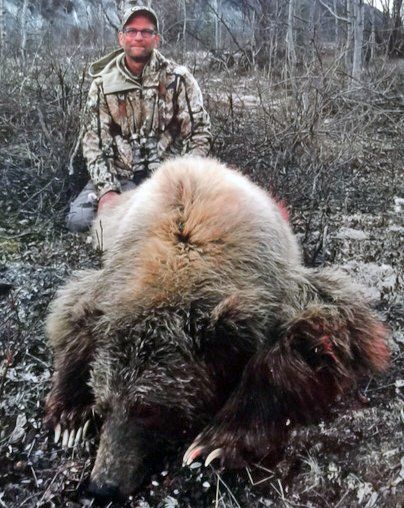 Alaska Grizzly Bear Hunting, Grizzly Bear Hunt Alaska, Alaska Brown ...