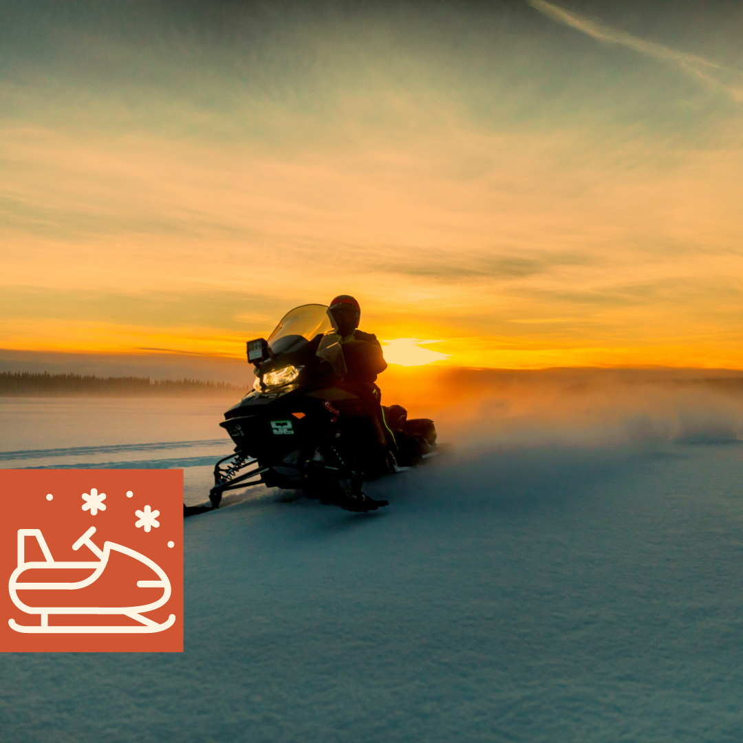 VAST Trails & The Wildflower