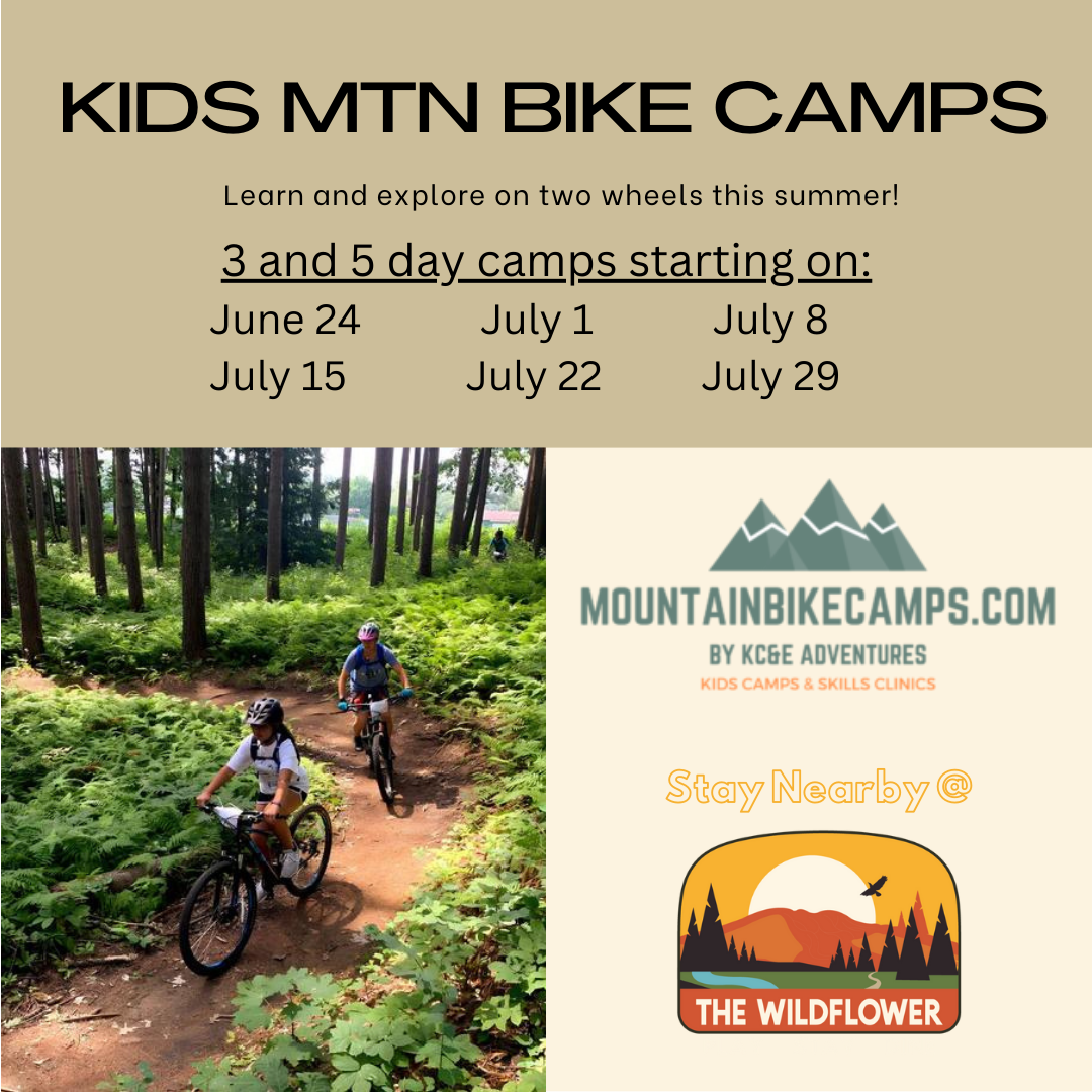 The Wildflower | Camps and Clinics