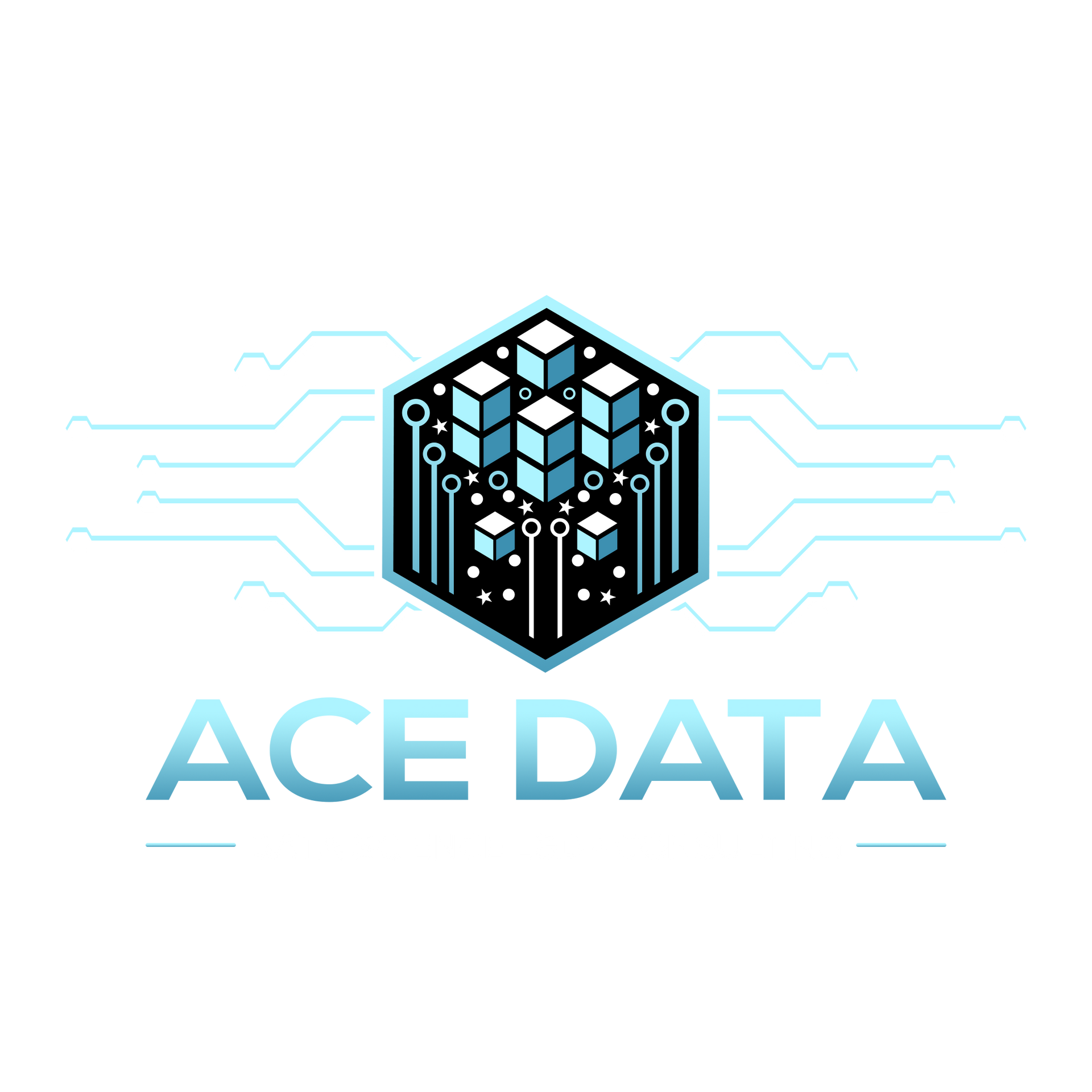 Ace Data LLC Data Services Consulting and L&D