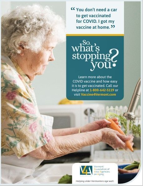 Tenth Crow Creative and Vermont Association of Area Agencies on Aging ...