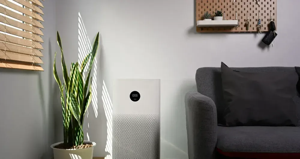 Top 5 Ways to Create a Healthy Home