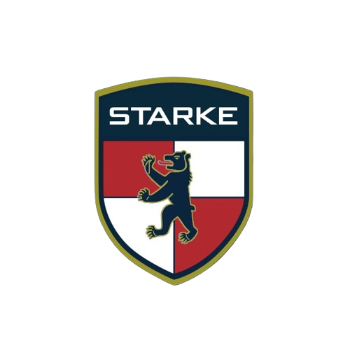 Starke Speedster | Redefining Automotive Performance