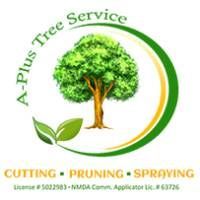 Tree Service | A Plus Tree Service