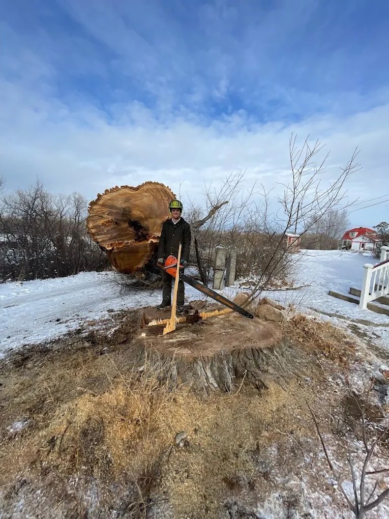 Contact Us | The Tree Guy LLC