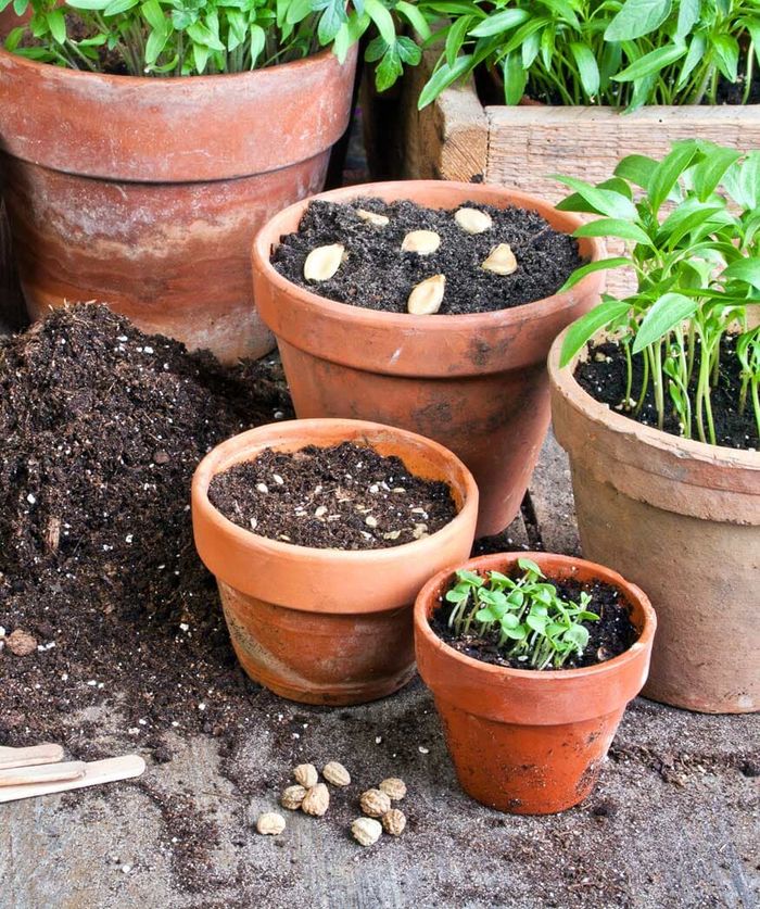 Garden & Landscaping Materials in Gladstone | Dirt Cheap
