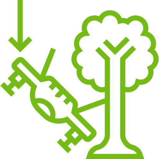 Tree Lopping Services in Darwin - RV Tree Care