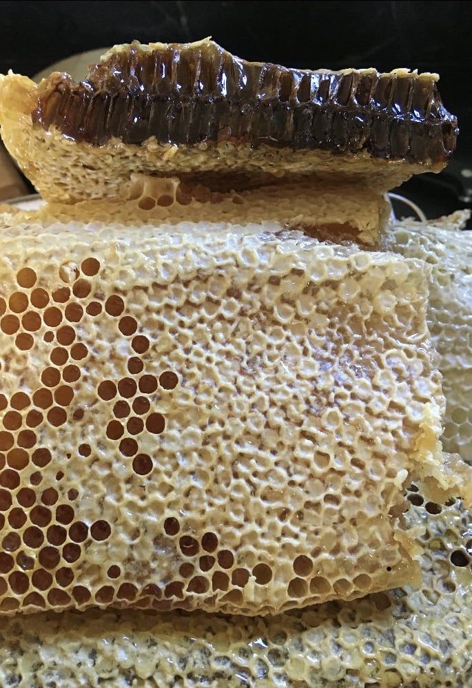 Beekeeping consultation & honey & bee colonies for sale