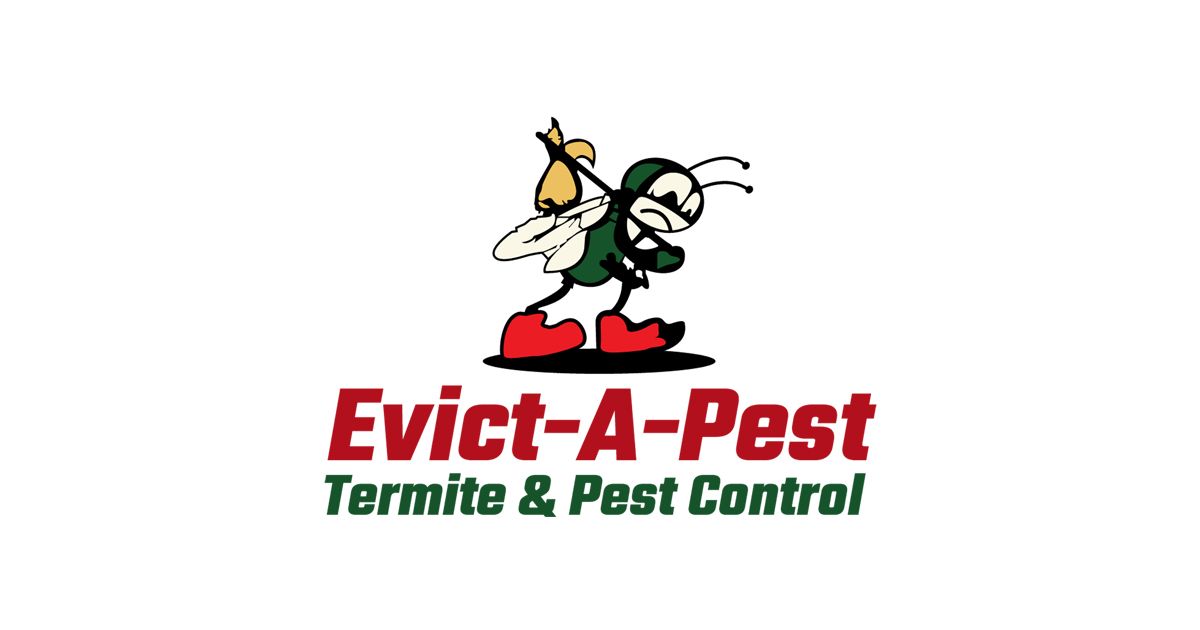 Pest Control | Cincinnati, OH