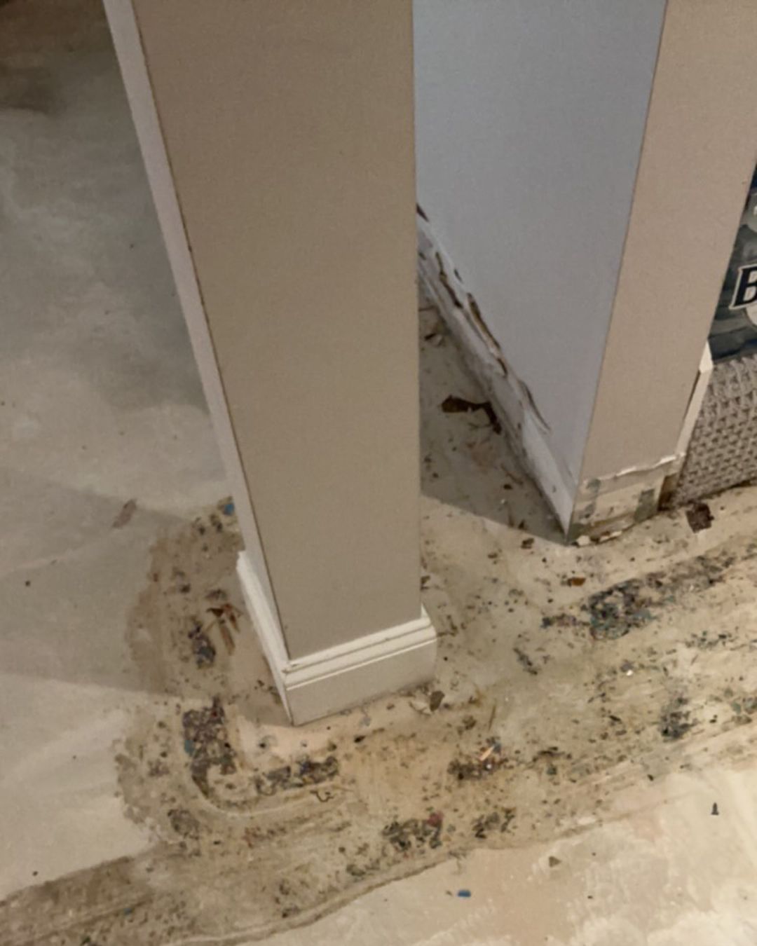 Sump Pump Failure in St. Louis: How We Saved a Finished Basement from ...