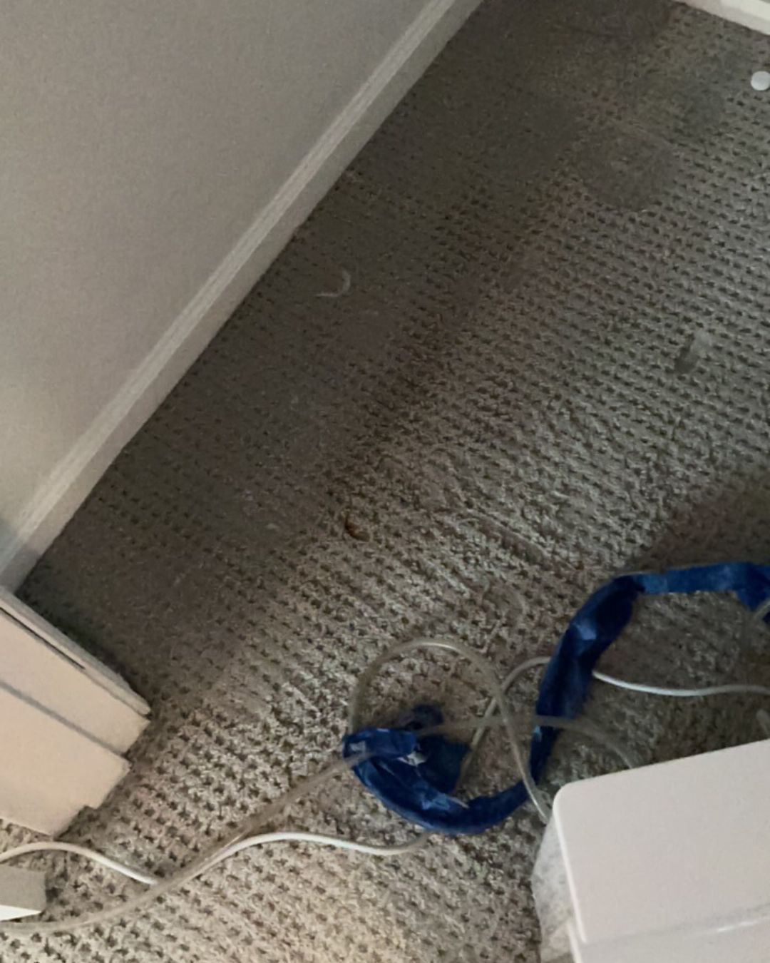 Sump Pump Failure in St. Louis: How We Saved a Finished Basement from ...