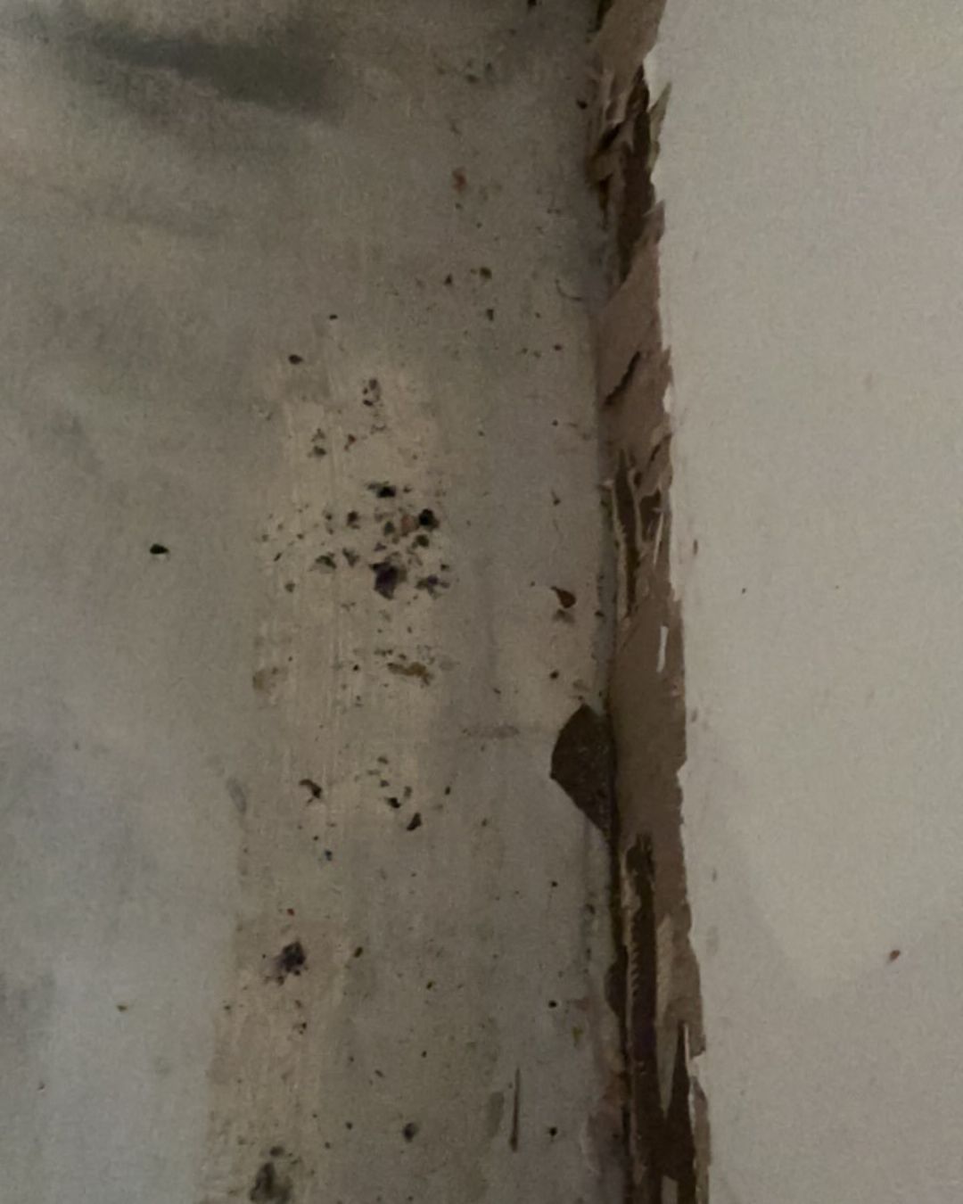 Sump Pump Failure in St. Louis: How We Saved a Finished Basement from ...