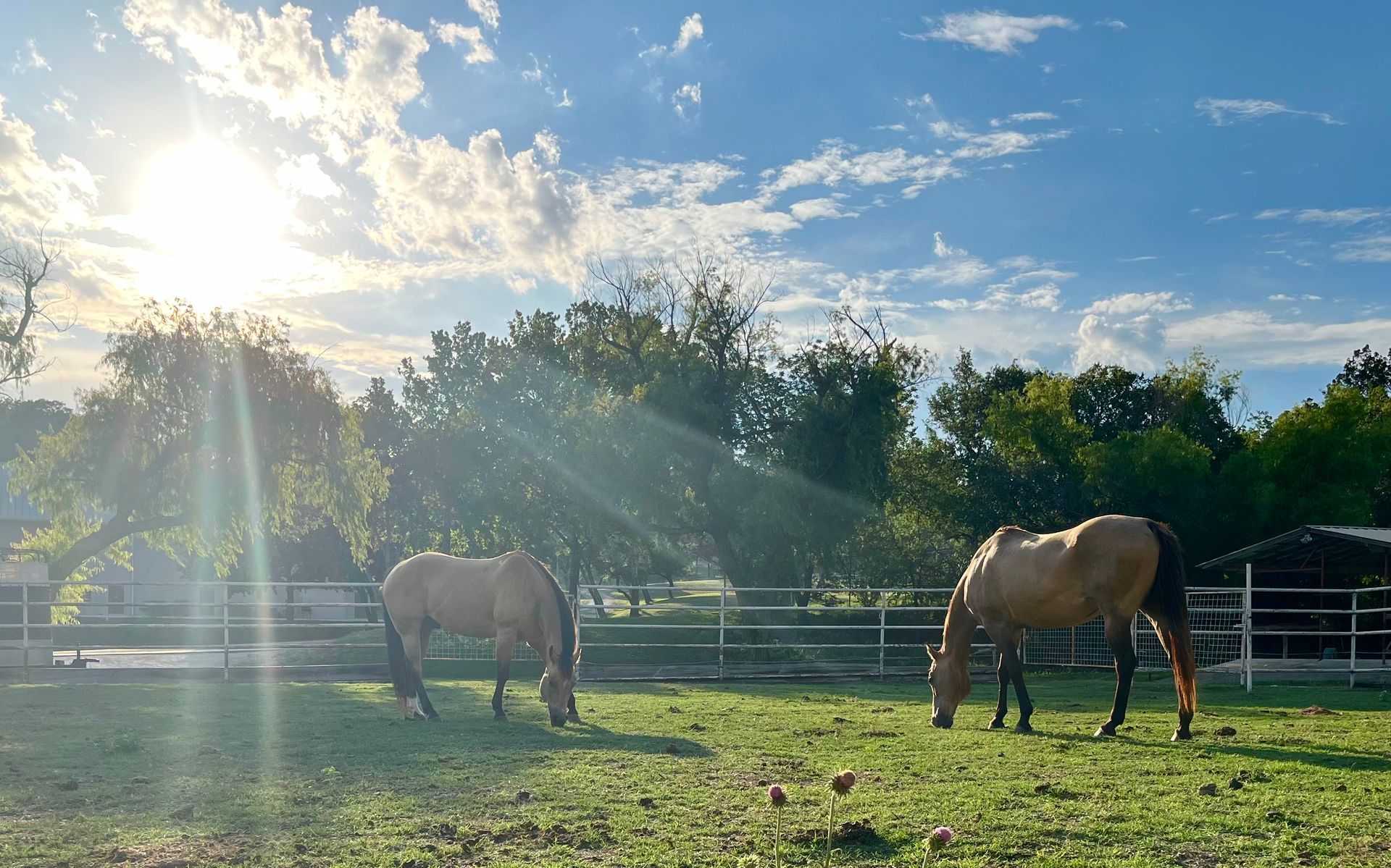 Full Circle Foundation | Home