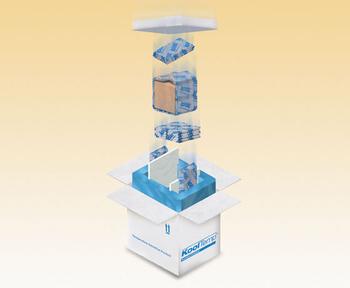 Cold chain packaging systems: Comparison of active, passive and hybrid ...