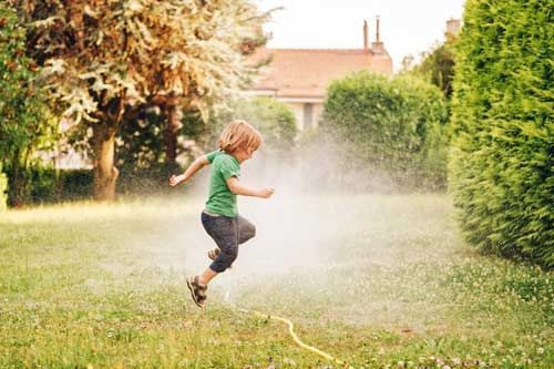 How to Reduce Bugs in Your Yard After Heavy Rain