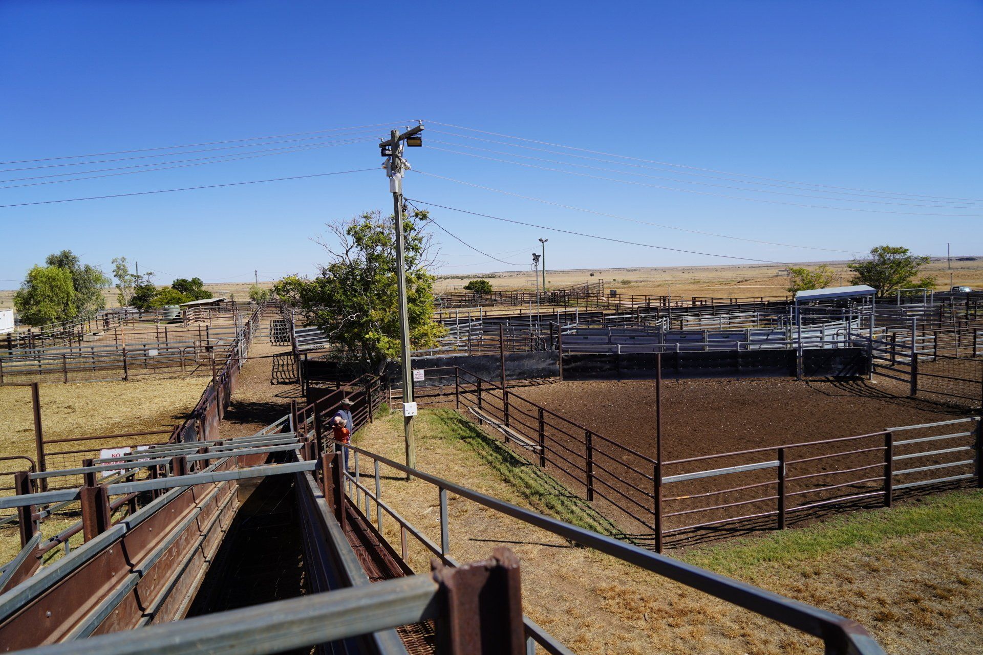 Hughenden Saleyards services