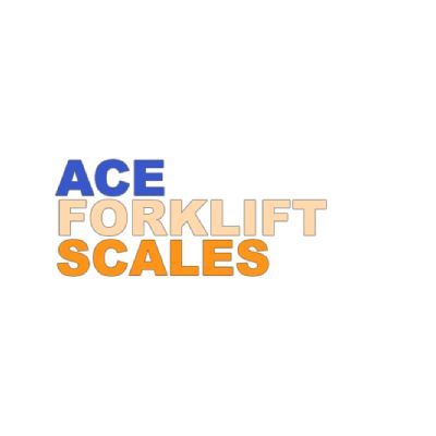 Professional Forklift Scale Manufacturers in Julago
