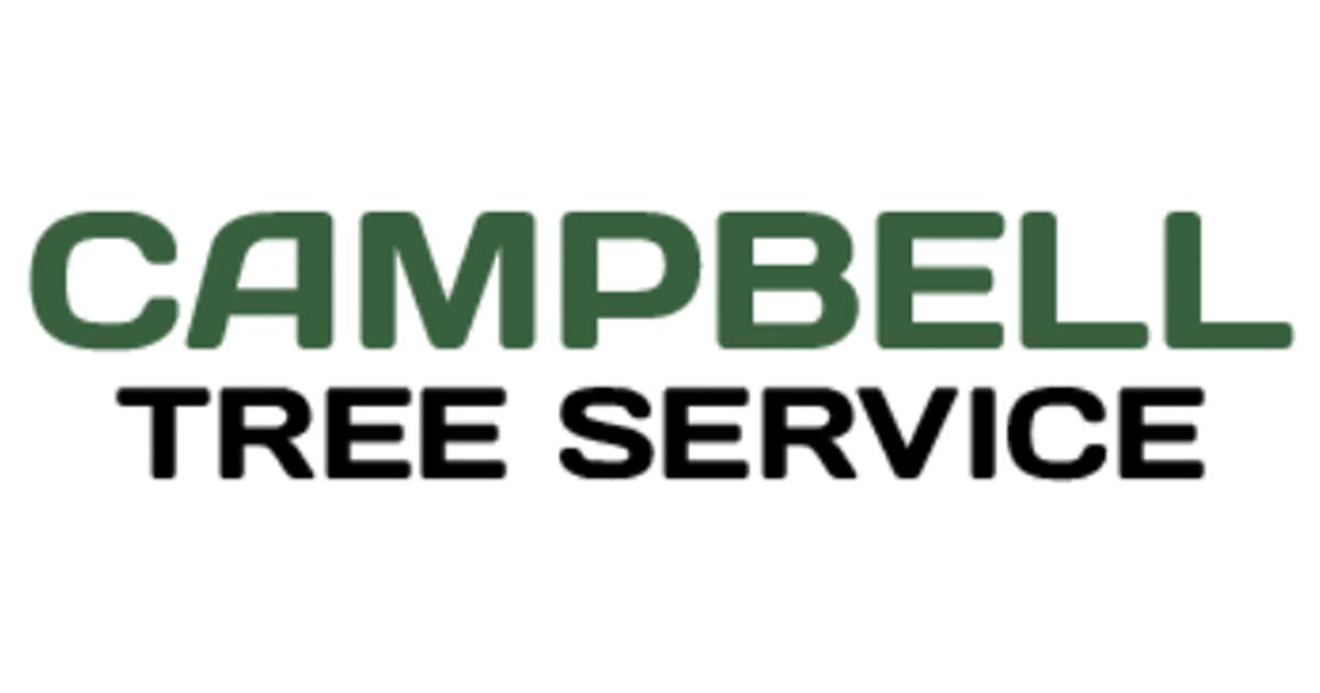 Get Tree Services | Knob Noster, MO | Campbell Tree Service