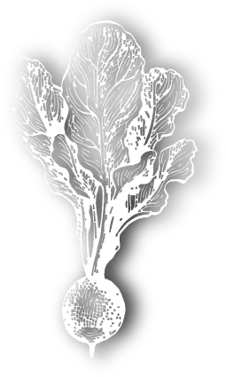 Restaurant Brisbane | Mr. Wabi: Asian Fusion Restaurant