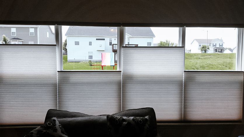 Energy-Efficient Window Shades | Love is Blinds