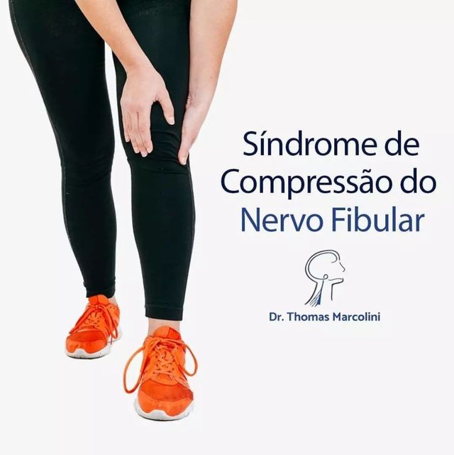 Modelo De Nervo Fibular Profundo My Publications Anatomia E