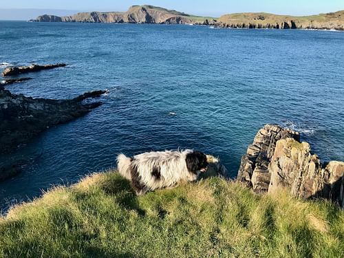 Gormú | Eco-Adventures with Enthralling Storytelling Along the Rugged ...