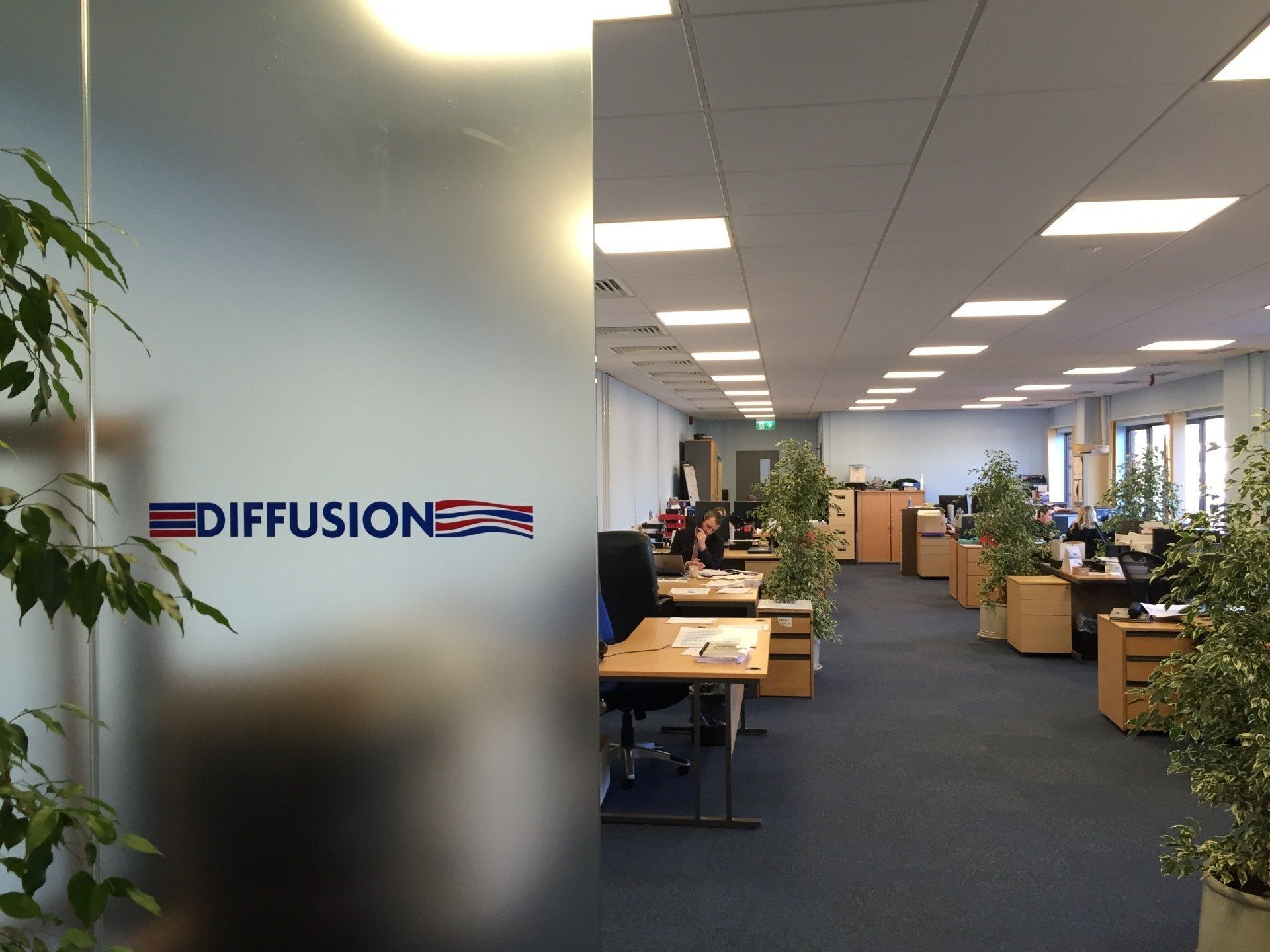 About Us | Diffusion Group