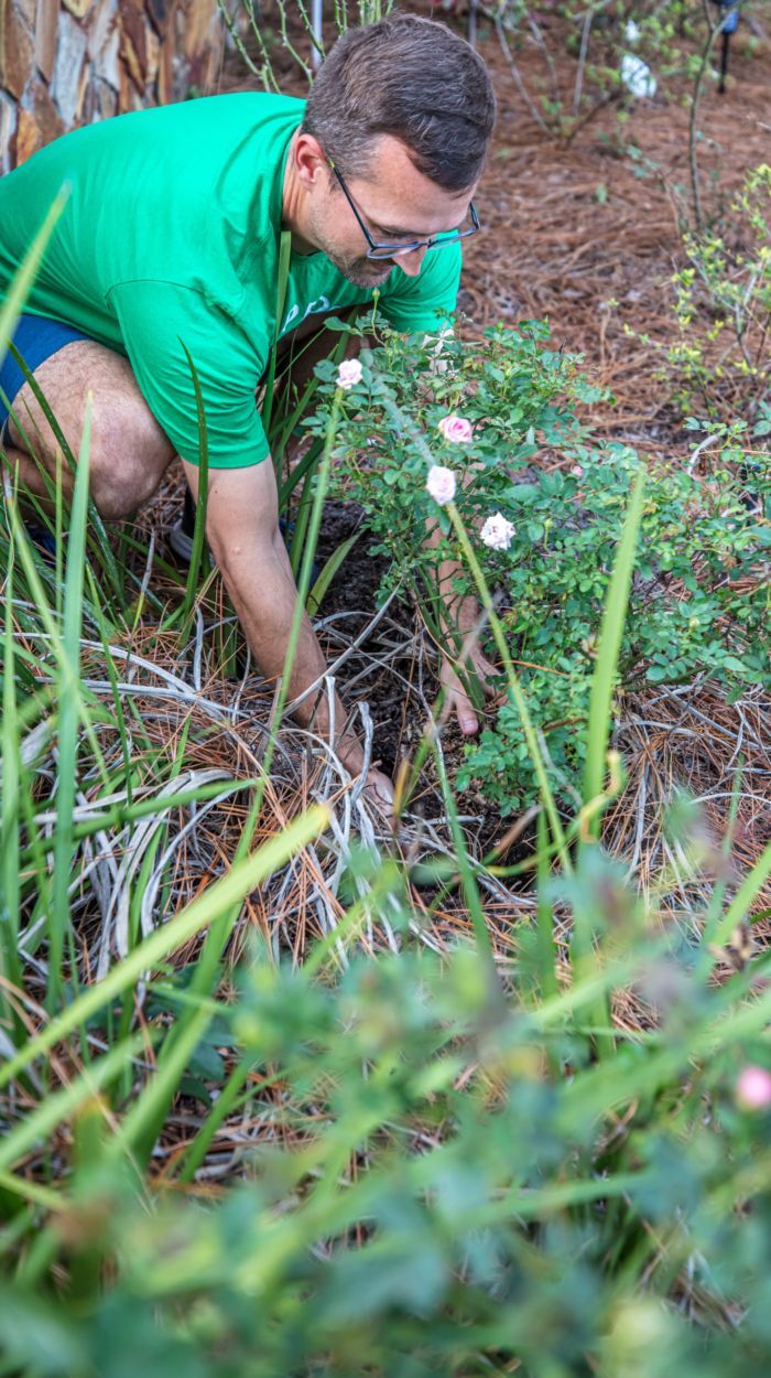 Landscape Design and Installation | Wildscape Designs