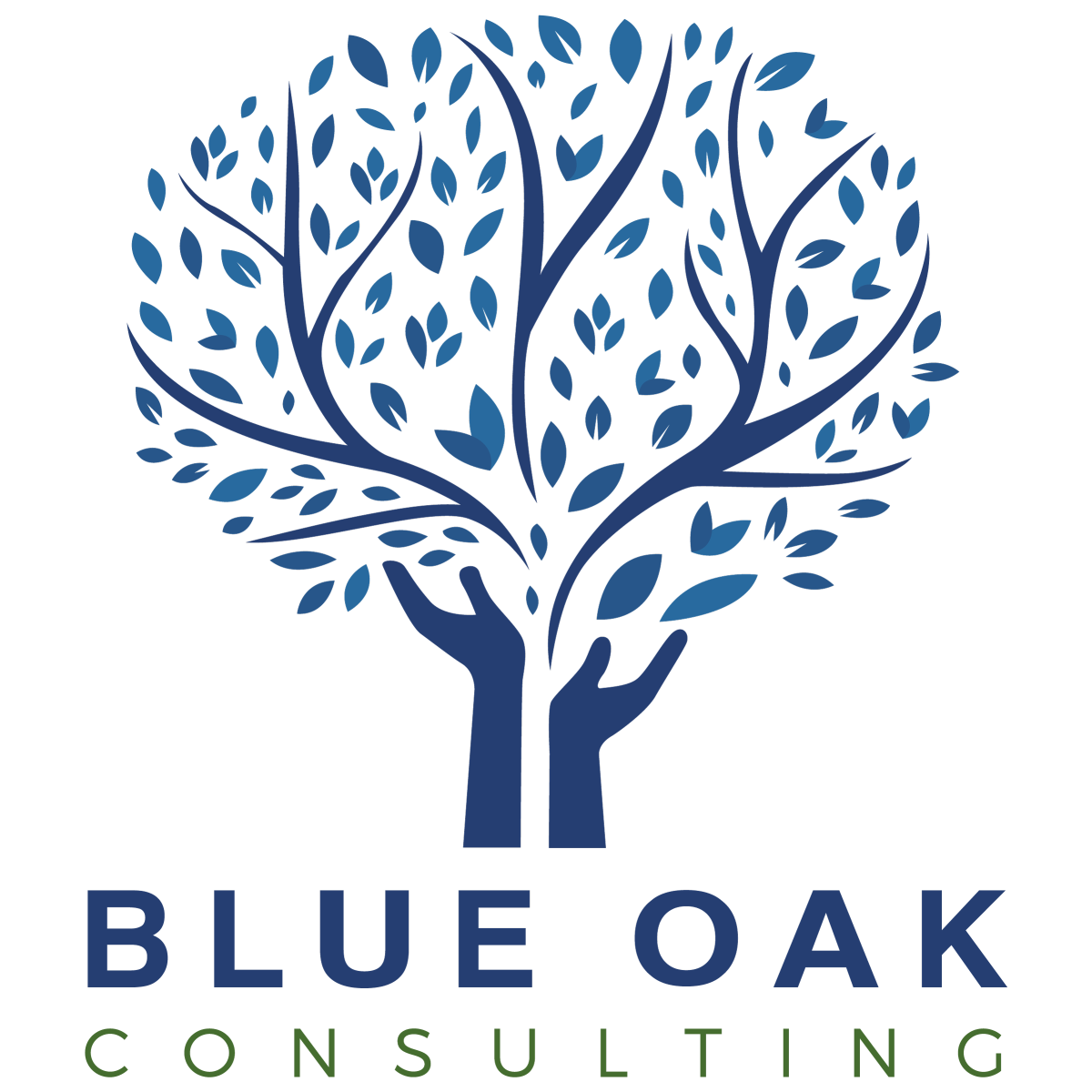 Blue Oak Consulting LLC - Home